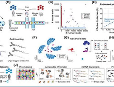 Single Cell Rna Sequencing Analysis A Step By Step Overview Rna Seq Blog