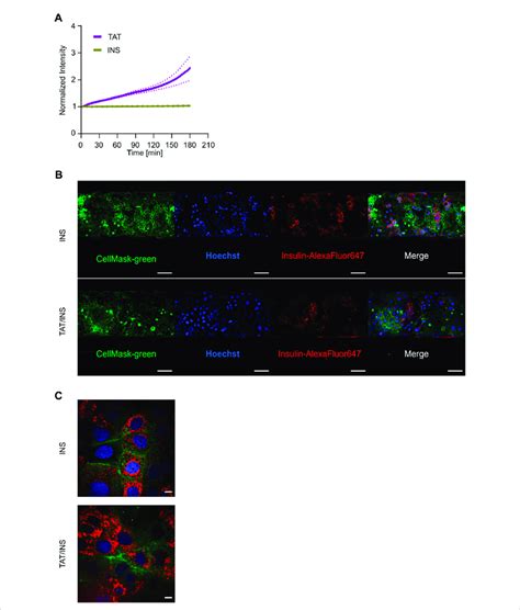 Multiplexed Live Cell Imaging For Assessing The Intracellular