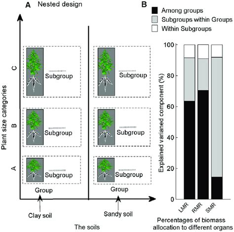 Nested Design And Variance Components Of Lmr Rmr And Smr Based On Download Scientific Diagram