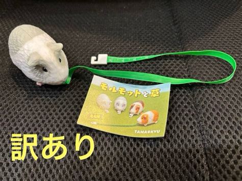 モルモットと草 ガチャ カプセルトイ グレー メルカリ