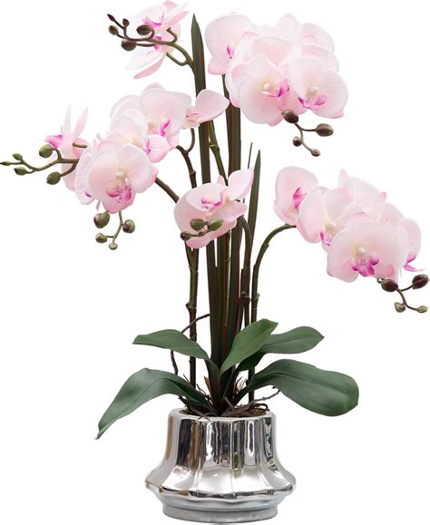 Cxgs Artificial Orchid Flower Plant 209 Real Touch Faux Orchids In