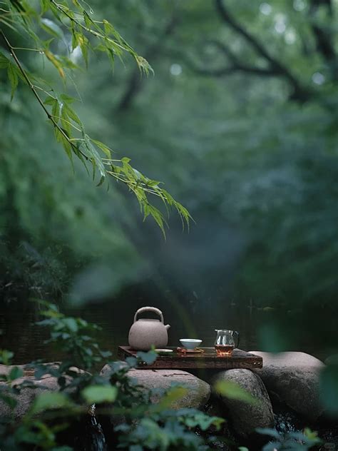 慢系茶生活丨清茶慰岁月，静坐听时光。 花瓣网