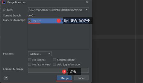 IDEA中分支管理 除暖的专栏 TNBLOG