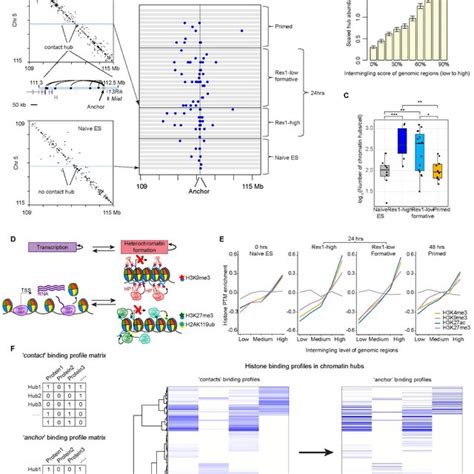 Multiway Contacts In 3d Genome Structures Of Single Cells Identify