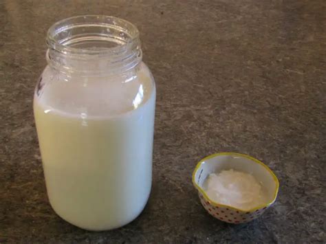 3 Easy Ways To Make Powdered Milk Yogurt Urban Fermentation