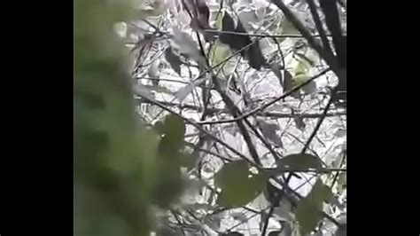 Edali On The River Xxx Mobile Porno Videos And Movies Iporntvnet