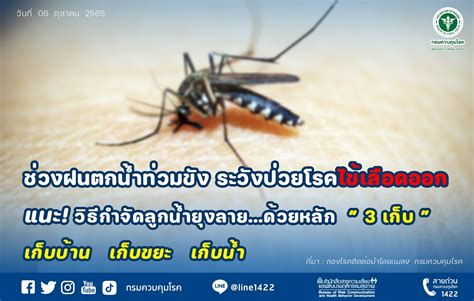 ช่วงฝนตกน้ำท่วมขัง ระวังป่วยโรคไข้เลือดออก คลังสื่อ สำนักงาน