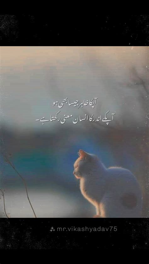 Muhammad Altaf Khan Altafawan • Instagram Photos And Videos