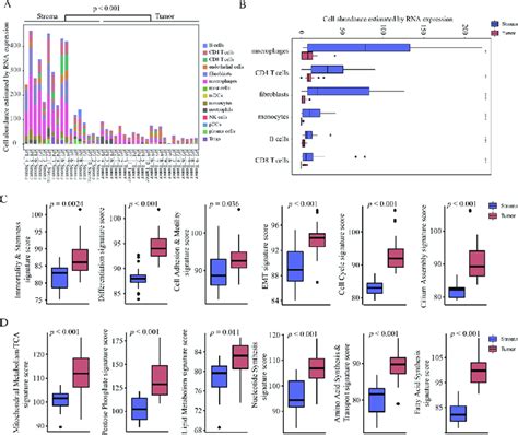 Characterization Of Immune Cell Types And Cancer Pathways In Tumor And