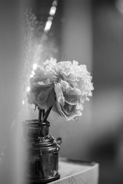 Untitled Ingrida Mekionyte Flickr