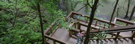 Devils Millhopper New Staircase Florida Hikes