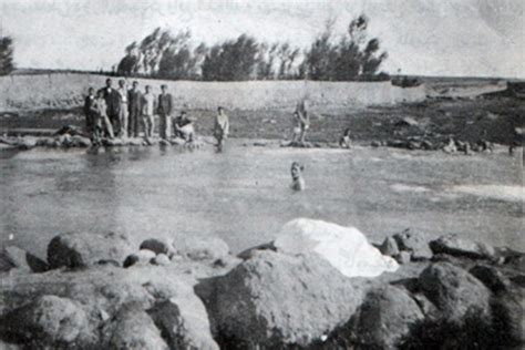 آبگرم‌ گاومیش گلی سرعین ثبت جهانی می‌شود تصاویری از گاومیش گلی در