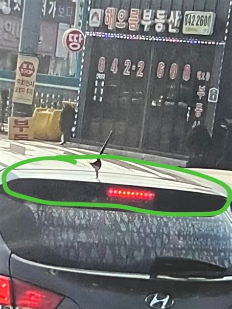 Suv 브레이크 등 지식in