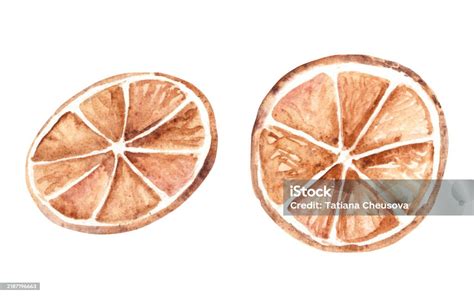 오렌지 슬라이스 2개 세트 건조 감귤류 과일 흰색 배경에 고립 된 소박한 스타일의 수채화 그림 크리스마스 휴일을 위한 디자인 요소 아늑한 장식 및 프린트 갈색에 대한 스톡