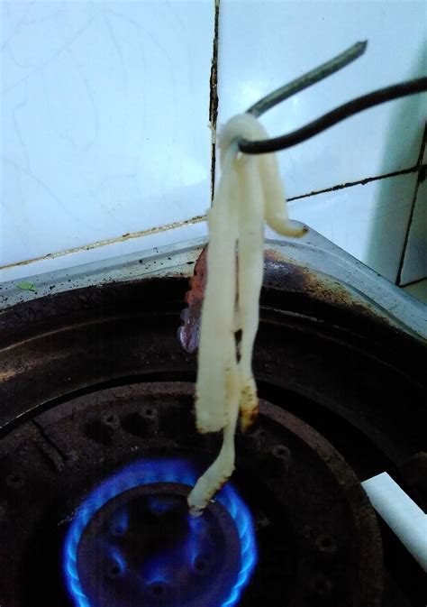 这是什么寄生虫 百度知道