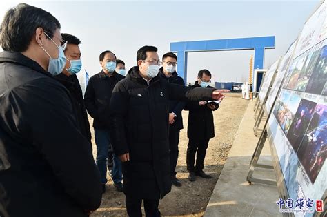 张国华调研白洋淀生态环境治理和保护项目 中国雄安官网