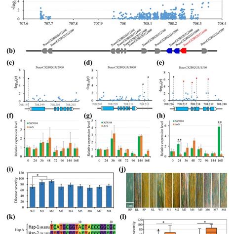 Candidate Region Associated With Stripe Rust Resistance On Chromosome