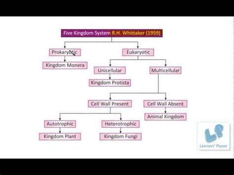 Classification Of Living Organisms Five Kingdom System Protista Monera