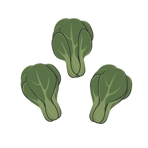 Logo Illustration Of Green Bok Choy Cartoon 30521442 Vector Art At Vecteezy