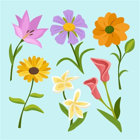 Premium Vector Organic Flat Flower Collection