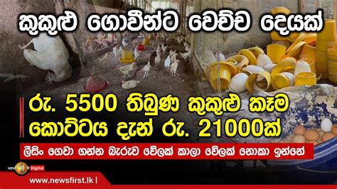 ලීසිං ගෙවා ගන්න බැරුව වේලක් කාලා වේලක් නොකා ඉන්නේ කුකුළු ගොවීන්ට