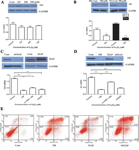 Figure 2 From Jnk And Aktgsk3β Signaling Pathways Converge To Regulate