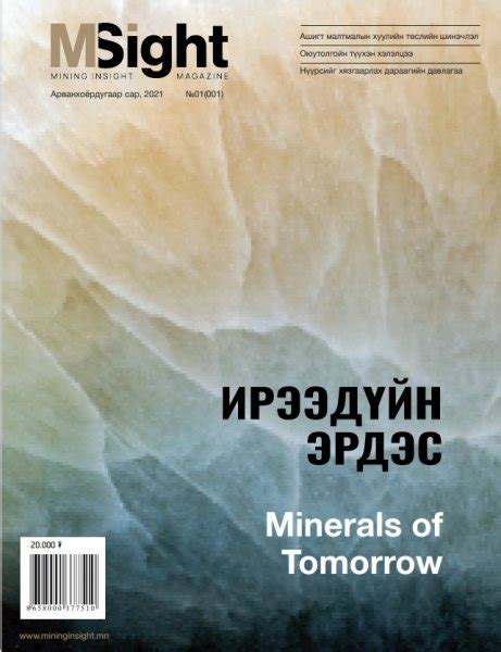Mining Insight