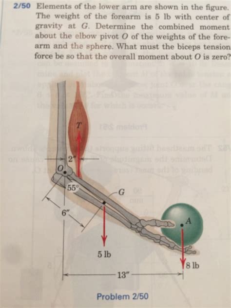 Solved Elements Of The Lower Arm Are Shown In The Figure Chegg