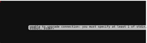 Exec Is Broken · Issue 2407 · Kubernetesdashboard · Github