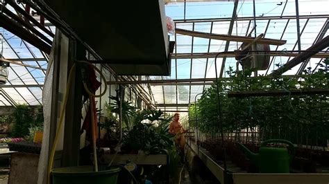 September Watering Naked At Work German Gay Amateur Porn Xhamster