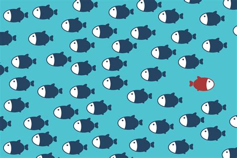 A Look At The Cg Csr Interface Council On Business And Society Insights