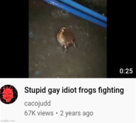 Gay Frogs Imgflip