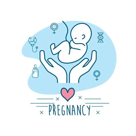 Ovulation Backgrounds Illustrations Royalty Free Vector Graphics