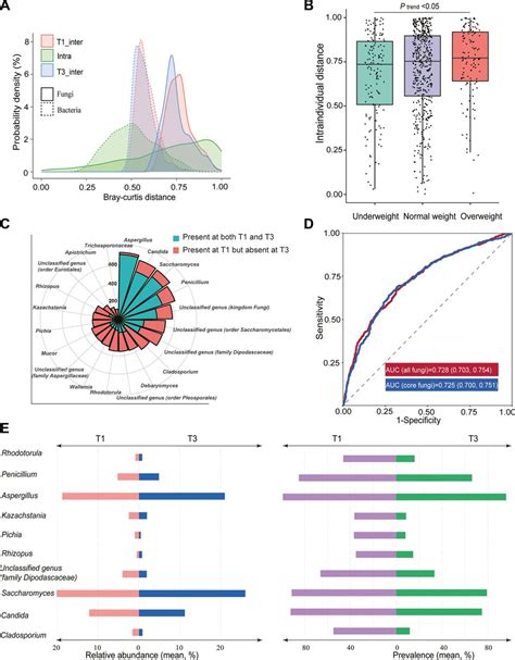 Landscape Of The Gut Mycobiome Dynamics During Pregnancy And Its