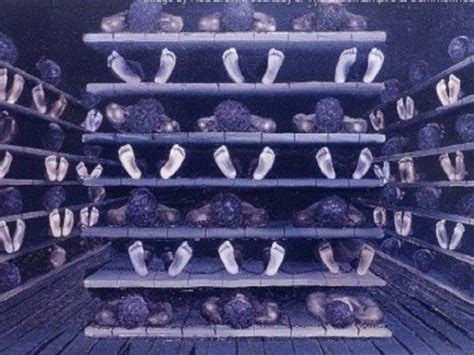 What Was The Middle Passage Teaching Resources