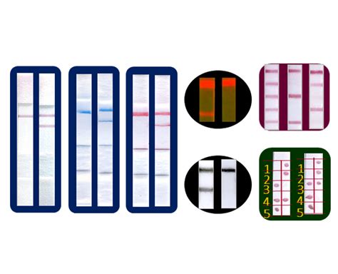 Nanoparticle Based Biosensors For Dna Rna Detection Forth Ice Ht