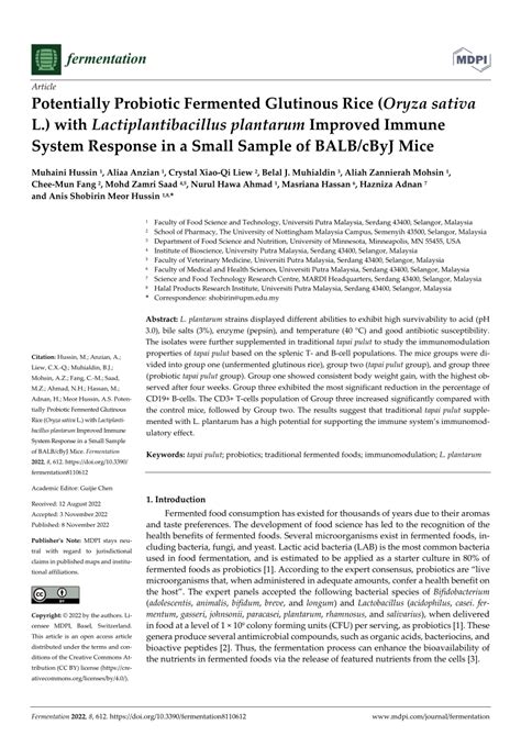 Pdf Potentially Probiotic Fermented Glutinous Rice Oryza Sativa L With Lactiplantibacillus