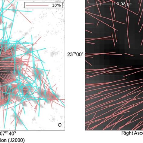 Map Of Magnetic Field Orientation In Mon R2 Segments Are The Same In
