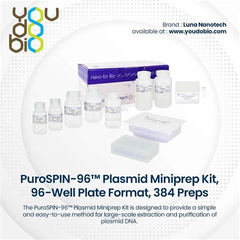 Purospin 96™ Plasmid Miniprep Kit 96 Well Plate Format 384 Preps