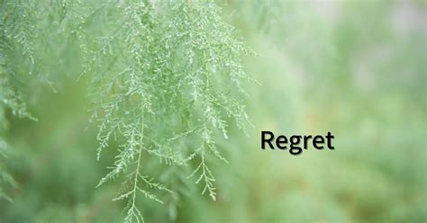 Regret