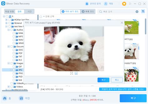 Windows Pc에서 부팅 구성 데이터 손실 또는 오류를 복구하는 방법 무료 윈도우 데이터 복구