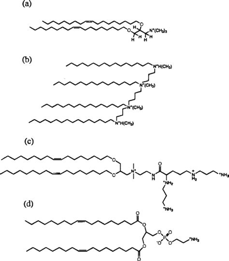 The Journal Of Physical Chemistry B Vol 104 No 37 Acs Publications