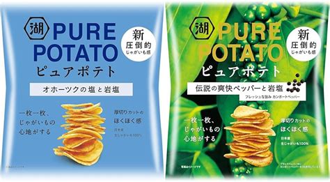 Jp 【セット買い】湖池屋 ピュアポテト オホーツクの塩と岩塩 55g 12袋 湖池屋 ピュアポテト 伝説の爽快