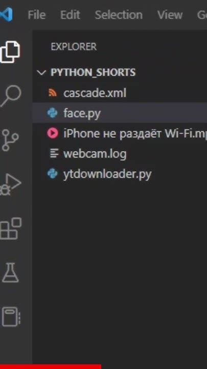 Как сделать распознавание лиц на Python Youtube