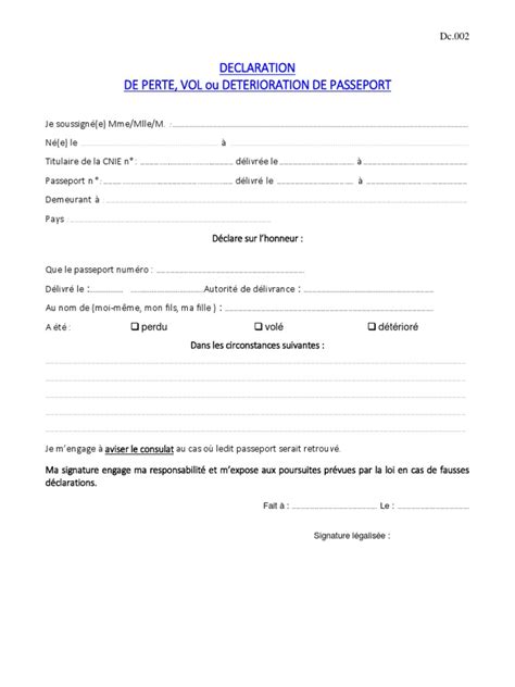 Déclaration De Perte Vol Detérioration De Passeport Pdf Gouvernement Et Identité