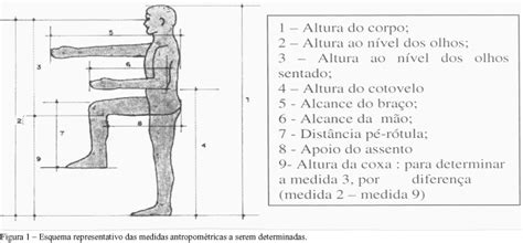 Sempre On Line Medidas Antropométricas Educação Física
