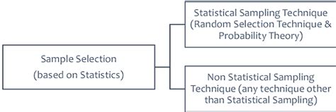 Audit Sampling Techniques