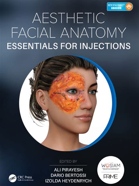 Aesthetic Facial Anatomy Essentials W Pdf Human Nose Lip