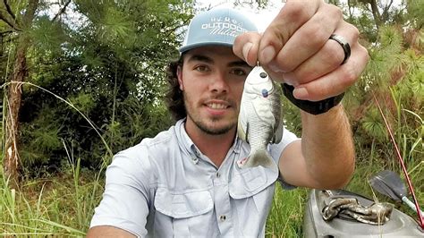 New Topwater Lure Summer Pond Bass Fishing Youtube