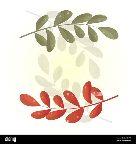 Big Set Of Cute Leaves From Different Kind Of Trees Isolated On White Stock Photo Alamy